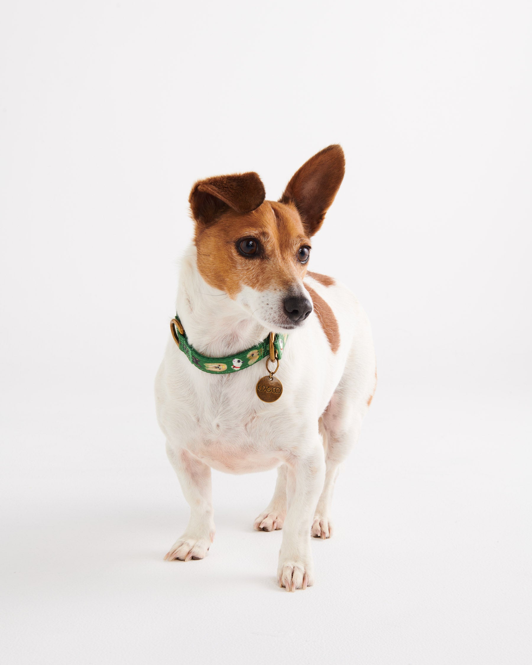 Dog Park Dog Collar – Kip&Co