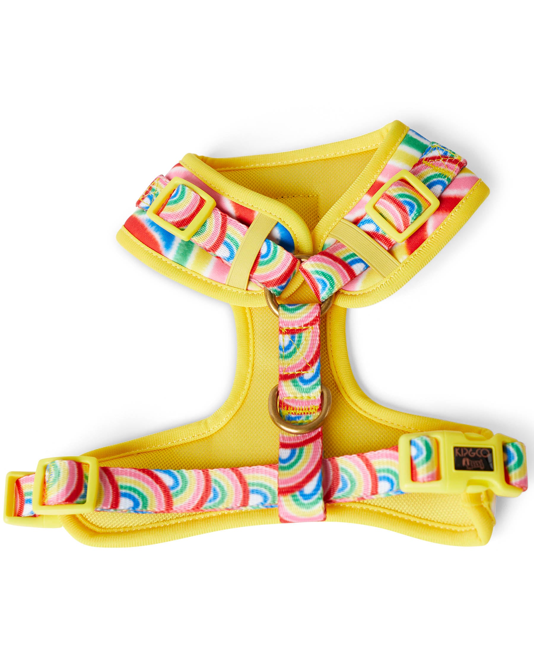 Rainbow Spray Dog Harness – Kip&Co