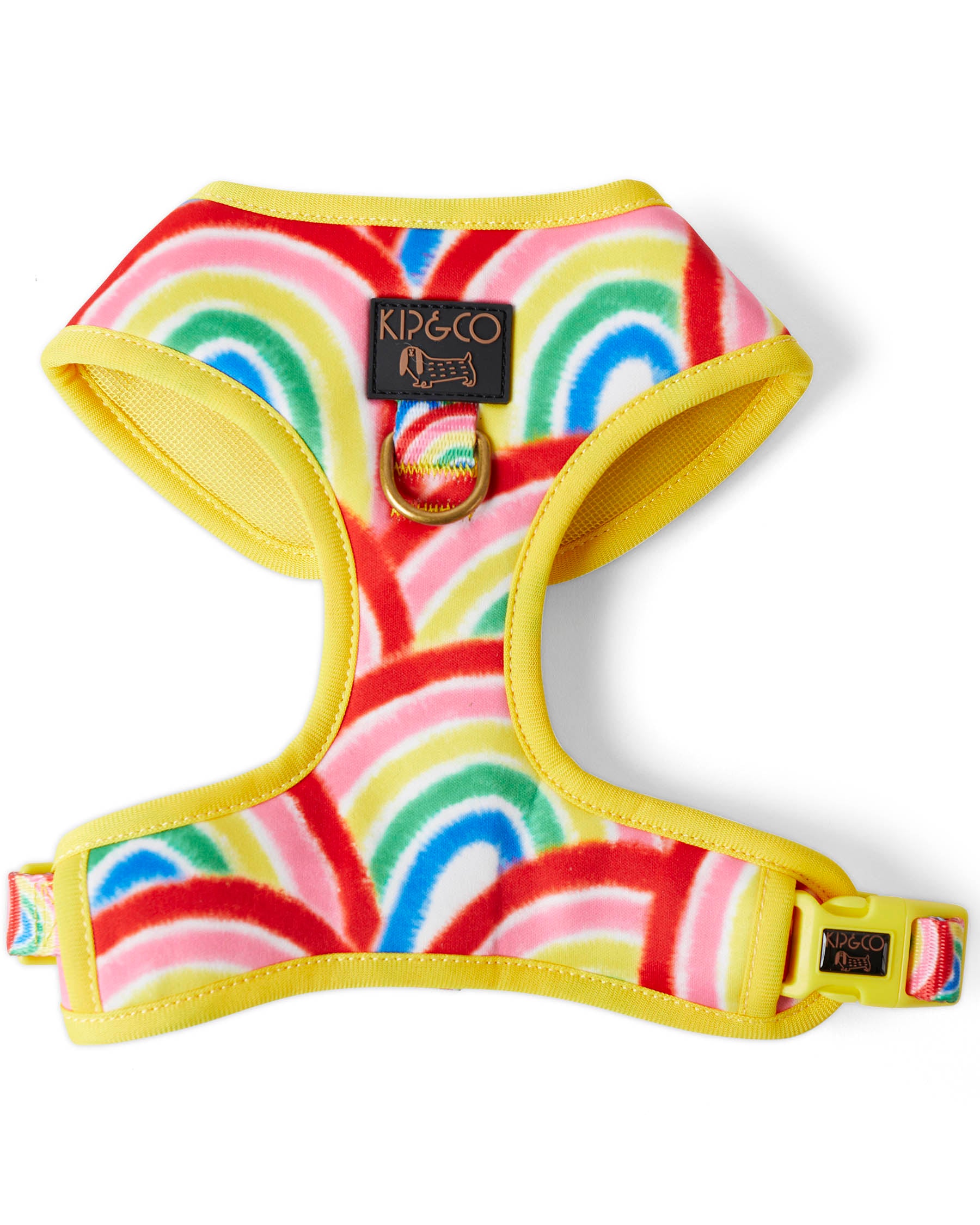 Rainbow Spray Dog Harness – Kip&Co