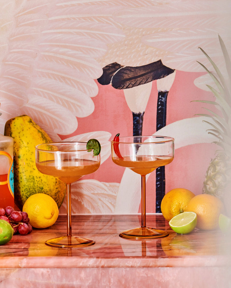 NEW Kip&Co Glassware