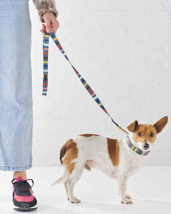 Dog Park Dog Bowl – Kip&Co